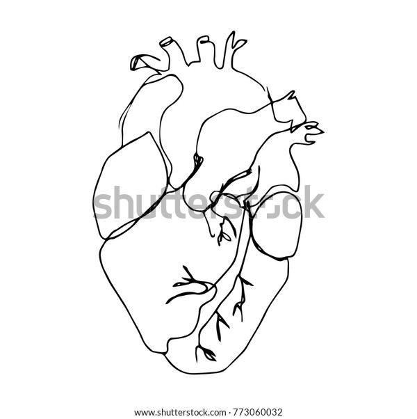 Heart One Line Drawing Illustration Stock Vector (Royalty Free) 773060032