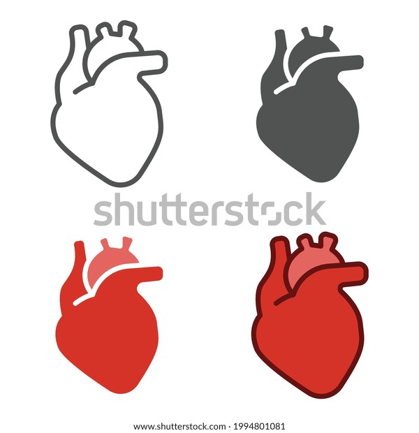Heart Organ Pump Blood Beating Organ Stock Vector (Royalty Free ...