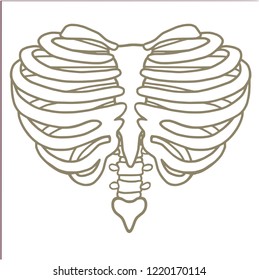 Heart Shaped Rib Cage Stock Vector (Royalty Free) 1220170114 | Shutterstock