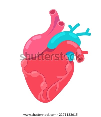 Cardiac Cycle Drawing | Free download on ClipArtMag