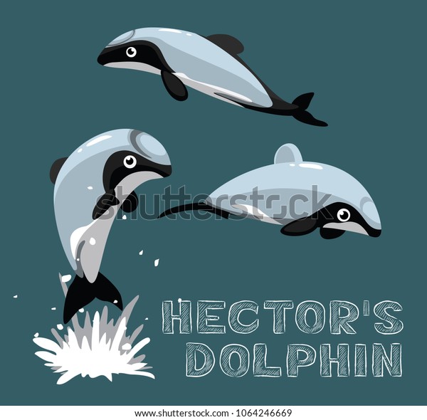 Hectors Dolphin Cartoon Vector Illustration Stock Vector (Royalty Free ...