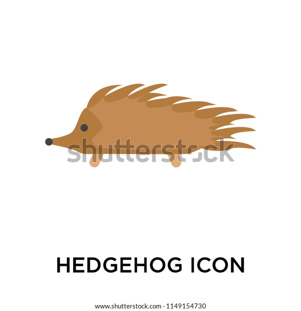Hedgehog Icon Vector Isolated On White Stock Vector (Royalty Free ...