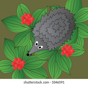 Hedgehog Top View Vector Illustration Stock Vector (Royalty Free ...
