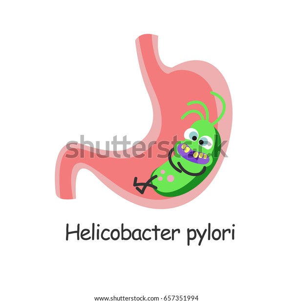 Helicobacter Pylori Harmful Bacteria Sitting Stomach Stok Vektör ...