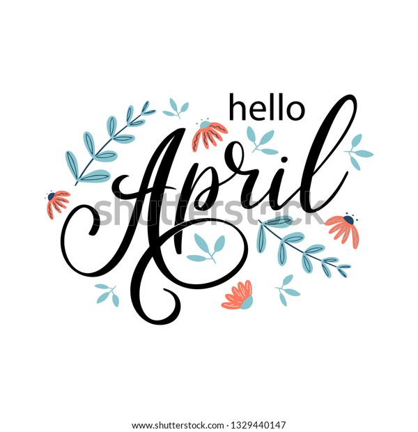 Hello April Handwritten Lettering Chamomile Flowers Stock Vector ...
