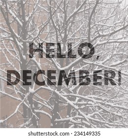 15,952 imágenes de Hello december christmas - Imágenes, fotos y ...