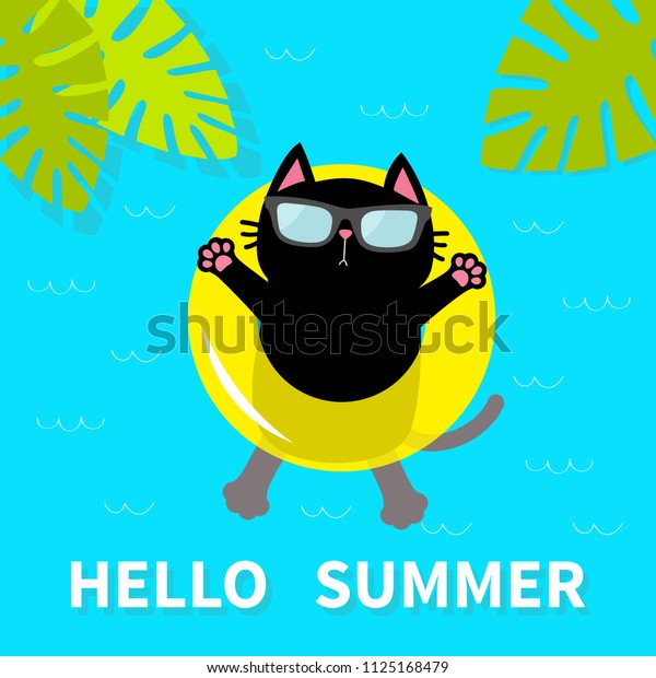 Vector de stock (libre de regalías) sobre Hello Summer Black Cat ...