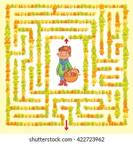 Help Boy Find Way Out Woods Stock Vector (Royalty Free) 422723962 ...
