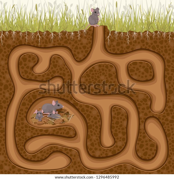 1,119 Mice Burrow Images, Stock Photos & Vectors | Shutterstock