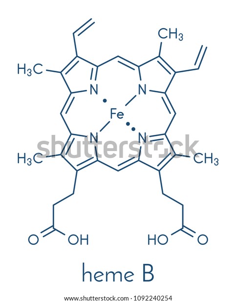 Heme B Haem B Molecule Heme Stock Vector (Royalty Free) 1092240254