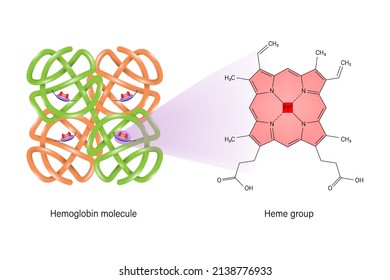 253 Heme hemoglobin Images, Stock Photos & Vectors | Shutterstock