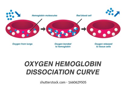 51 Concept art oxygen red blood cell Images, Stock Photos & Vectors ...