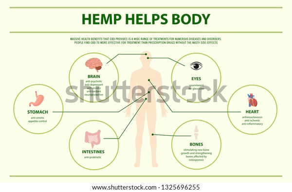 Hemp Helps Body Horizontal Infographic Illustration Stock Vector ...