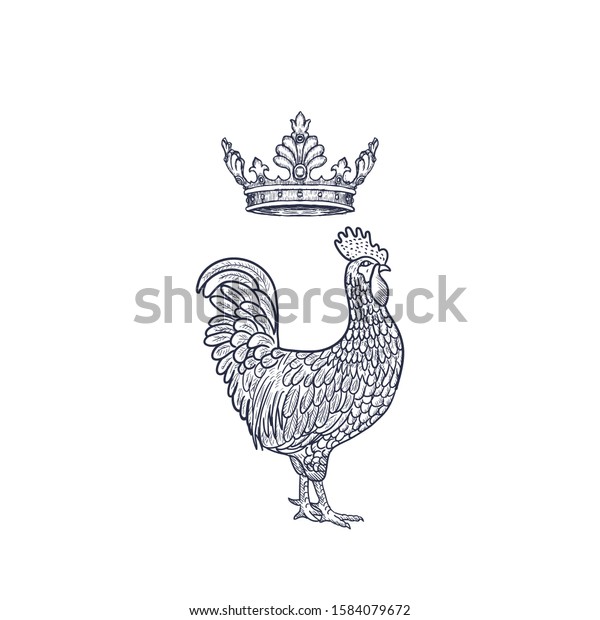 Hen Chicken Crown Hand Drawn Contour Stock Vector (Royalty Free ...