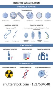 Hepatitis Classification Types Viral Hepatitis Bacterial Stock Vector ...