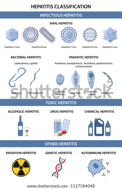 Hepatitis Classification Types Viral Hepatitis Bacterial Stock Vector ...