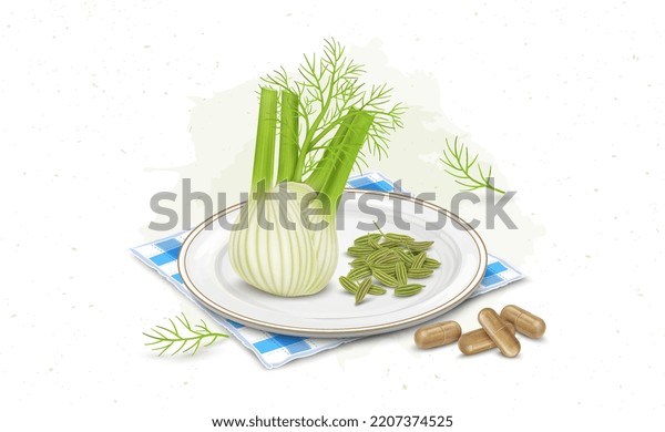 Herbal Fennel Plant Root Vector Illustration Stock Vector (Royalty Free ...