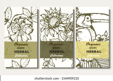Herbal Illustration On Label Packaging Design Stock Vector (Royalty ...
