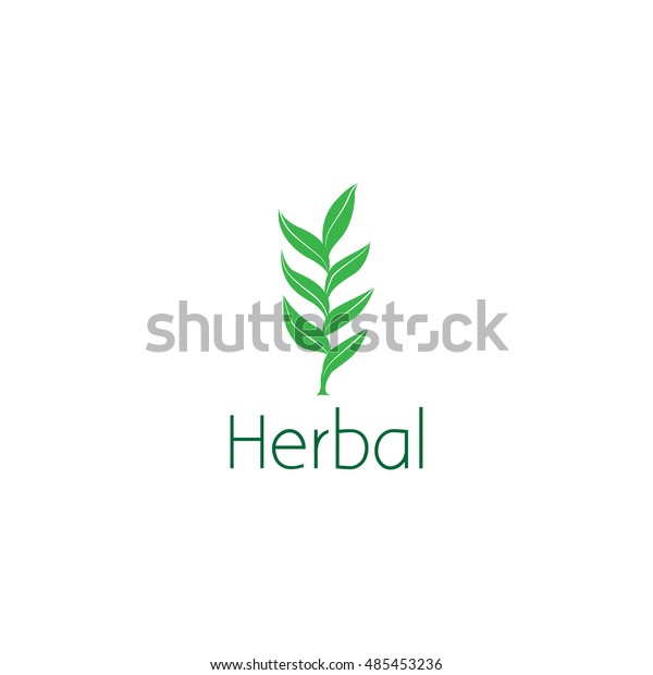Herbal Logo Graphic Design Concept Editable Stock Vector (Royalty Free ...