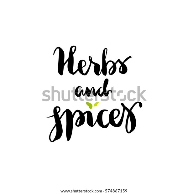 Herbs Spices Calligraphy Hand Drawing Lettering 스톡 벡터(로열티 프리) 574867159 ...