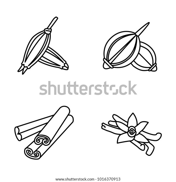 Herbs Spices Outlines Vector Icons Stock Vector (Royalty Free ...