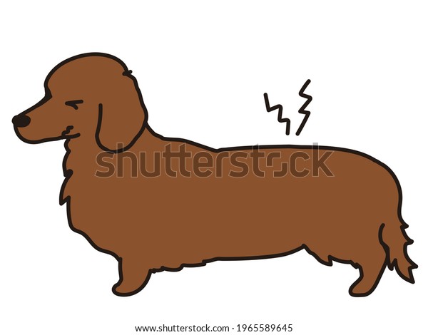 Herniated Disc Sideways Miniature Dachshund Stock Vector (Royalty Free ...