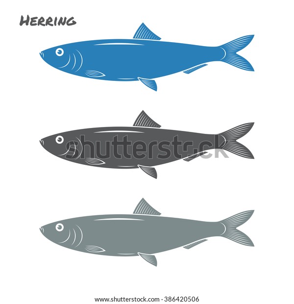 Herring Fish Vector Illustration On White 库存矢量图（免版税）386420506 ...