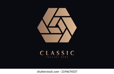Hexagon Blocks Connecting Shape Design Vector Stock Vector (Royalty ...