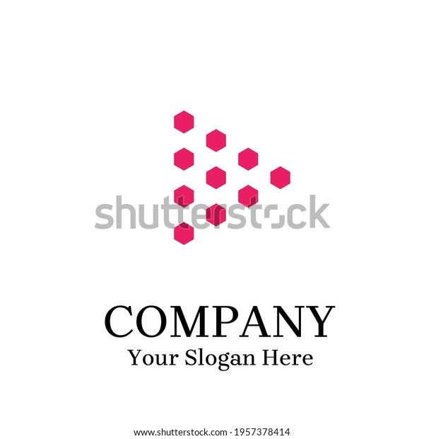Hexagon Design Logo Template Can Be Stock Vector (Royalty Free ...