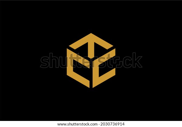 Hexagon Logo Design Letter T Cube Stock Vector (Royalty Free ...