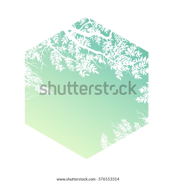 Hexagon Trees Branches Silhouettes Hand Drawn Stock Vector (Royalty ...