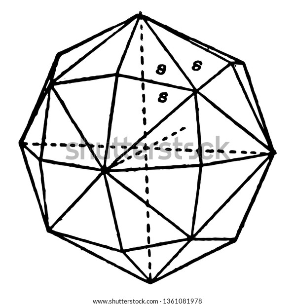 El hexoctaedro tiene 48 caras triangulares: vector de stock (libre de ...