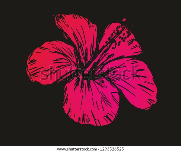 Hibiscus Flower Graphic Design Vector Art Stock Vector (Royalty Free ...