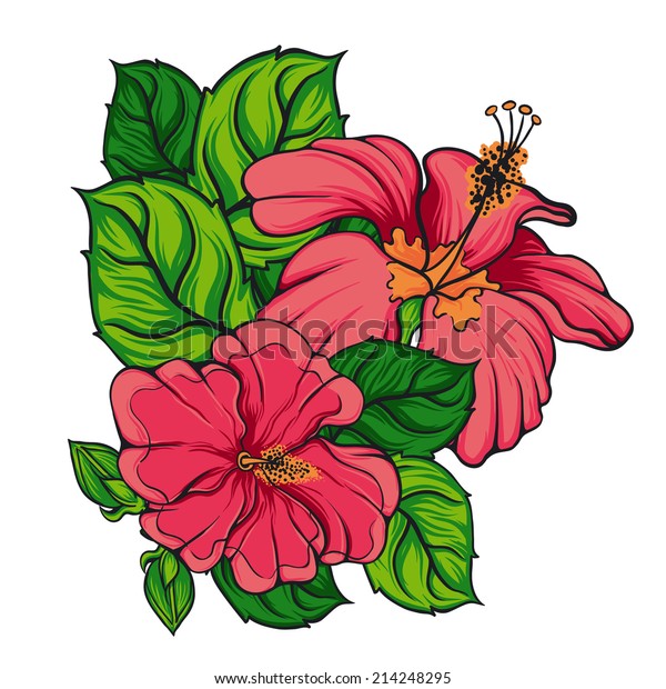 Hibiscus Flower Vector Stock Vector Royalty Free 214248295