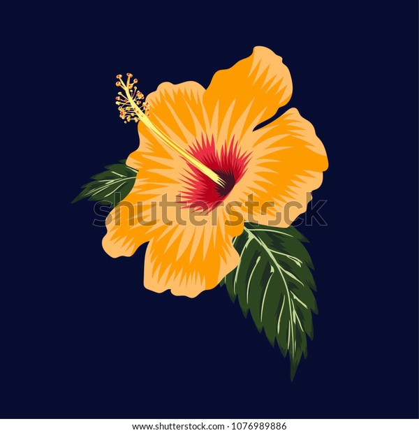 Hibiscus Flowers Vector Illustration Stock Vector Royalty Free