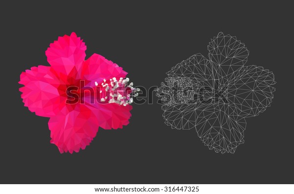 Hibiscus Rosa Sinensis Geometric Polygon Style Stock Vector (Royalty ...