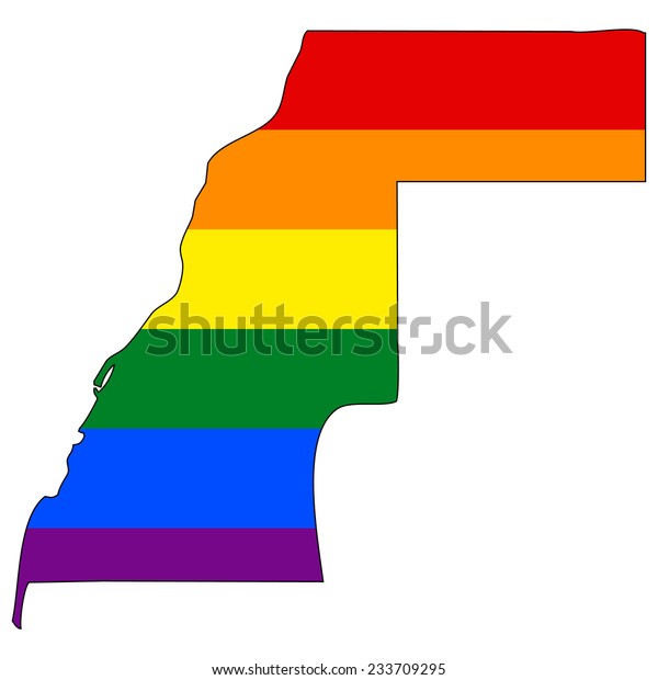 High Detailed Vector Map Pride Flag Stock Vector (Royalty Free ...