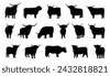 2,274 Baby Highlander Cows Royalty-Free Images, Stock Photos & Pictures ...