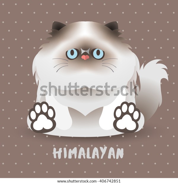 Himalayan Cat Vector Illustration Stock Vector (Royalty Free) 406742851