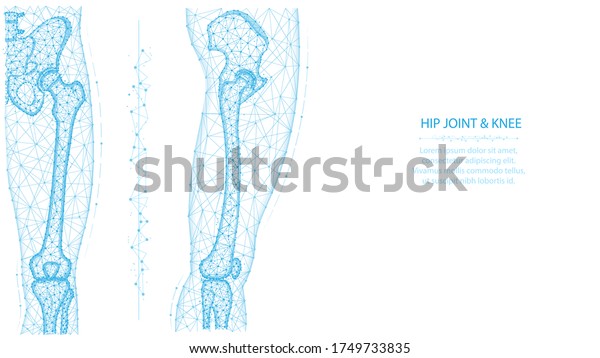 Hip Joint Knee Front Side View Stock Vector (Royalty Free) 1749733835 ...