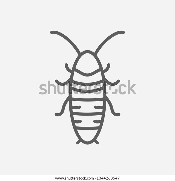Hissing Cockroach Icon Line Symbol Isolated Stock Vector (Royalty Free ...