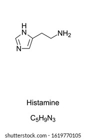 Histamine Molecule Skeletal Formula Structure C5h9n3 Stock Vector ...