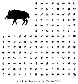 Hog Icon Illustration Isolated Vector Sign Stock Vector (Royalty Free ...