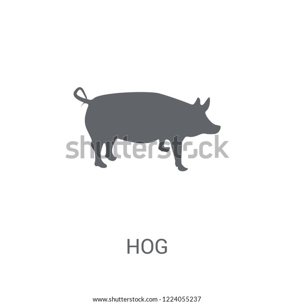 Hog Icon Trendy Hog Logo Concept Stock Vector (Royalty Free) 1224055237 ...