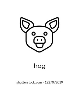 Hog Icon Trendy Flat Vector Line Stock Vector (Royalty Free) 1240640635 ...