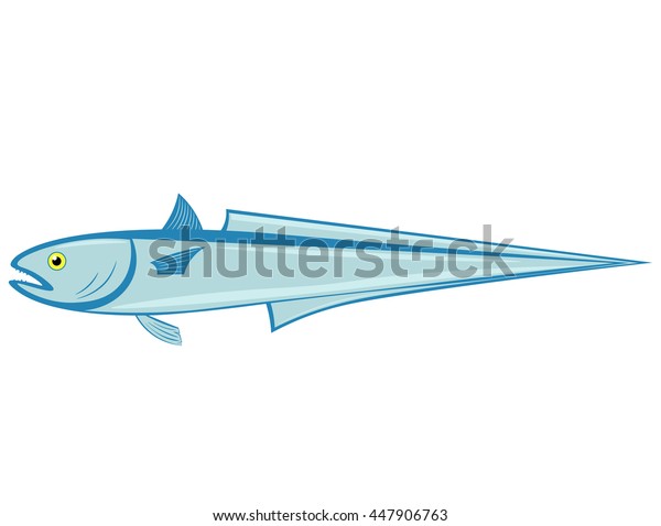Hoki Fish On White Background Stock Vector (Royalty Free) 447906763 ...