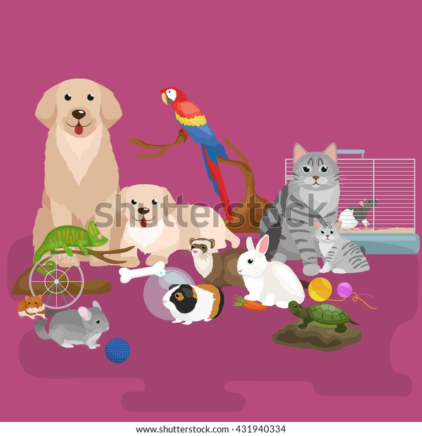 Home Pets Set Cat Dog Parrot Stock Vector (Royalty Free) 431940334 ...