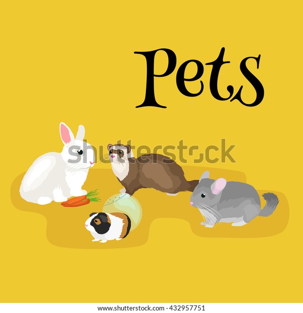 Home Pets Set Cat Dog Parrot Stock Vector (Royalty Free) 432957751 ...