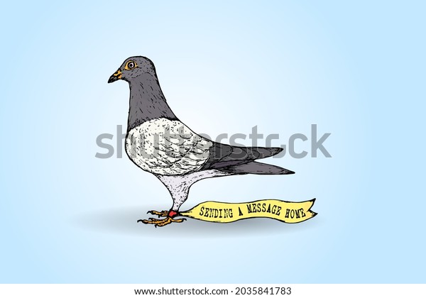 Homing Pigeon Bird Message Sending Message Stock Vector (Royalty Free ...