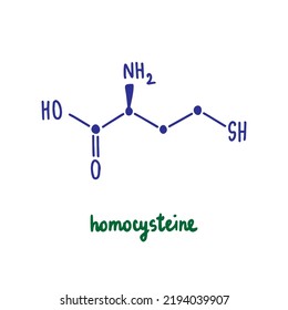 Homocysteine Hand Drawn Vector Formula Chemical Stock Vector (Royalty ...